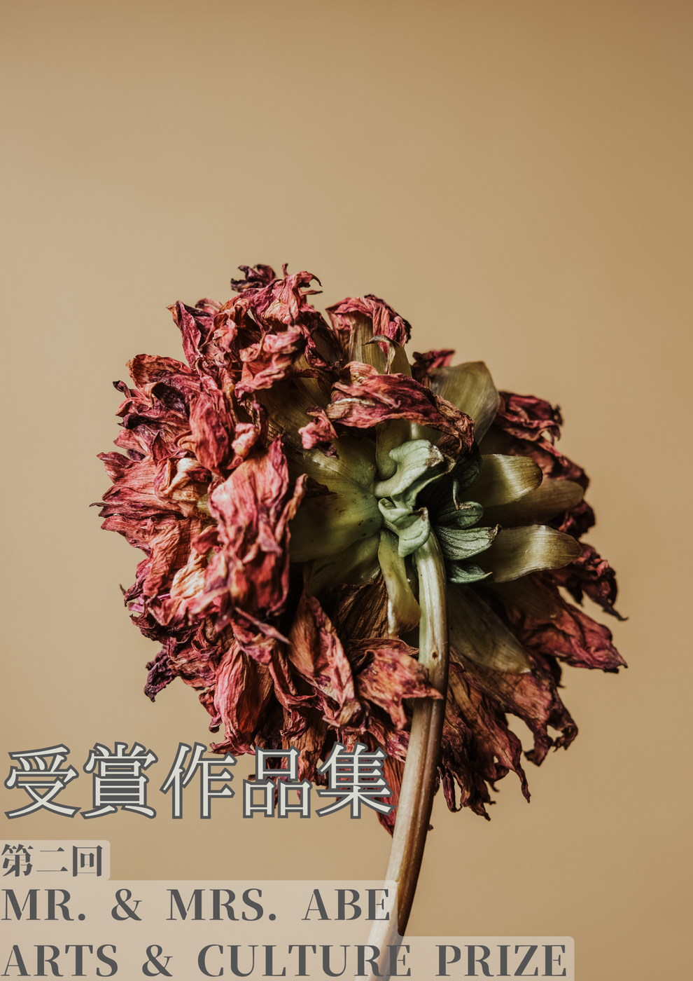 第二回 Mr. & Mrs. Abe Arts & Culture Prize 受賞作品集