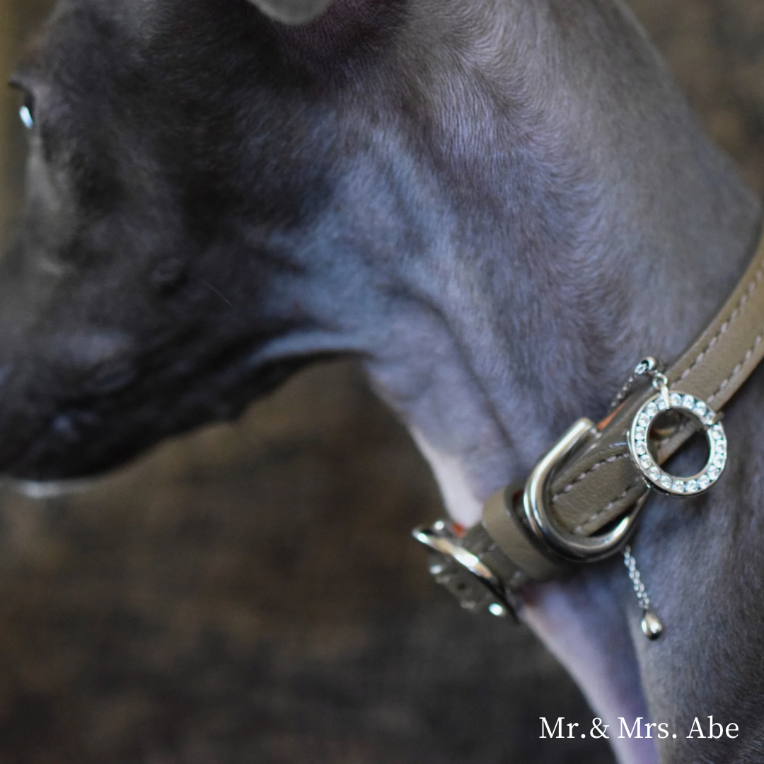 宠物首饰永恒 – Mr. & Mrs. Abe
