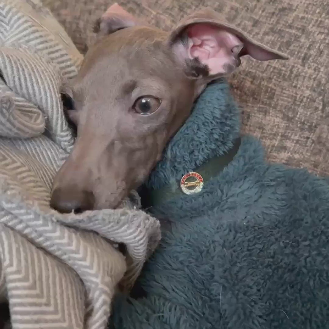 Pet Jewelry Eternity (K18 Gold Bone Motif) – Mr. & Mrs. Abe